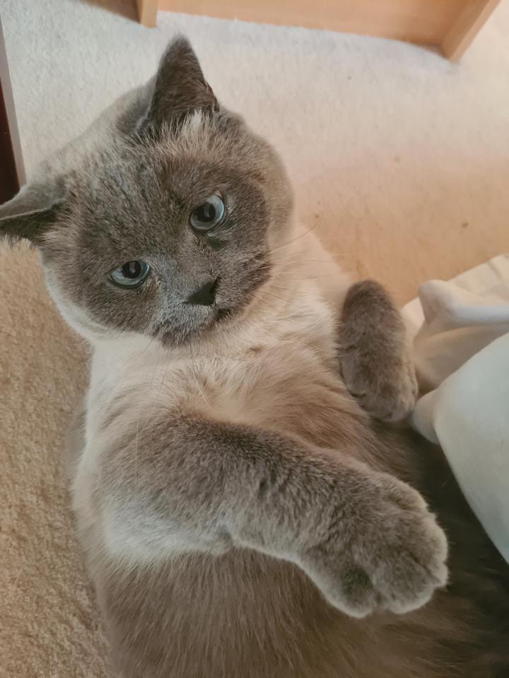 IEC 82304与IEC 62304：SaMD的软件标准解读 - 知乎