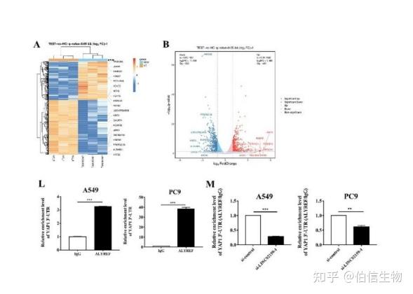 TRAP技术详解 - 知乎