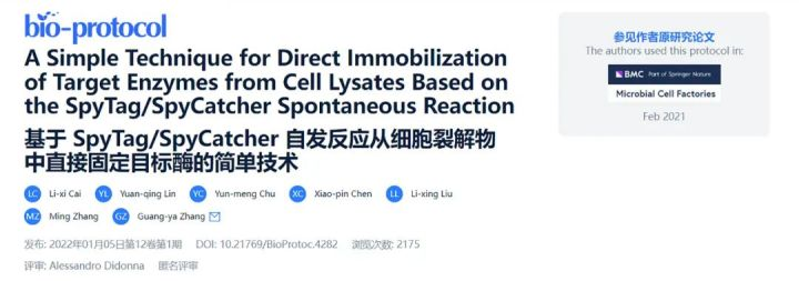 基于SpyTag/SpyCatcher自发反应从细胞裂解物中直接固定目标酶的简单技术 - 知乎
