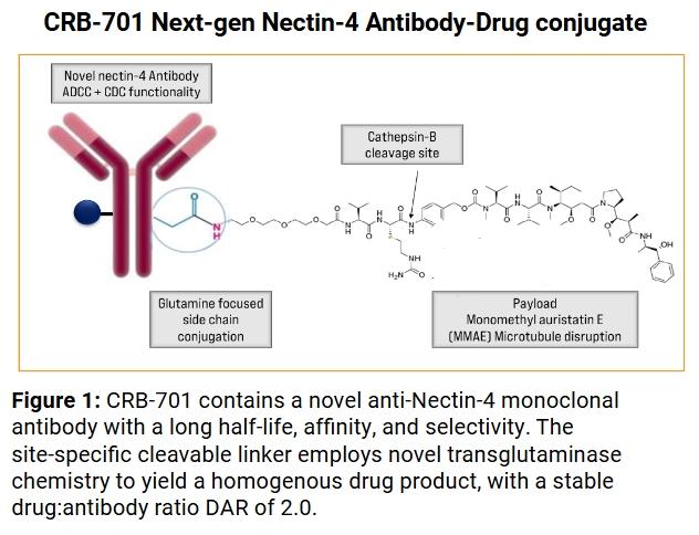 FDA 授予 CRB-701 快速通道资格 - 知乎