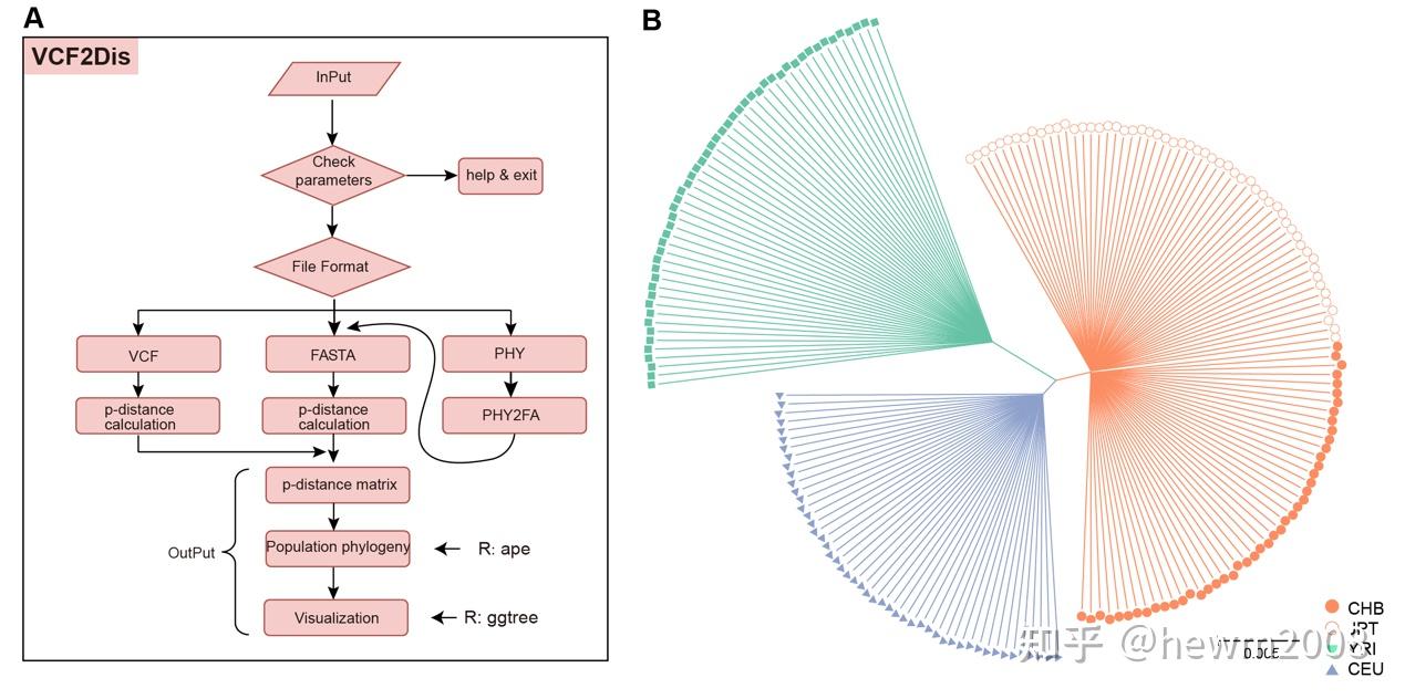 超快速VCF2Dis Tree 文章正式online - 知乎