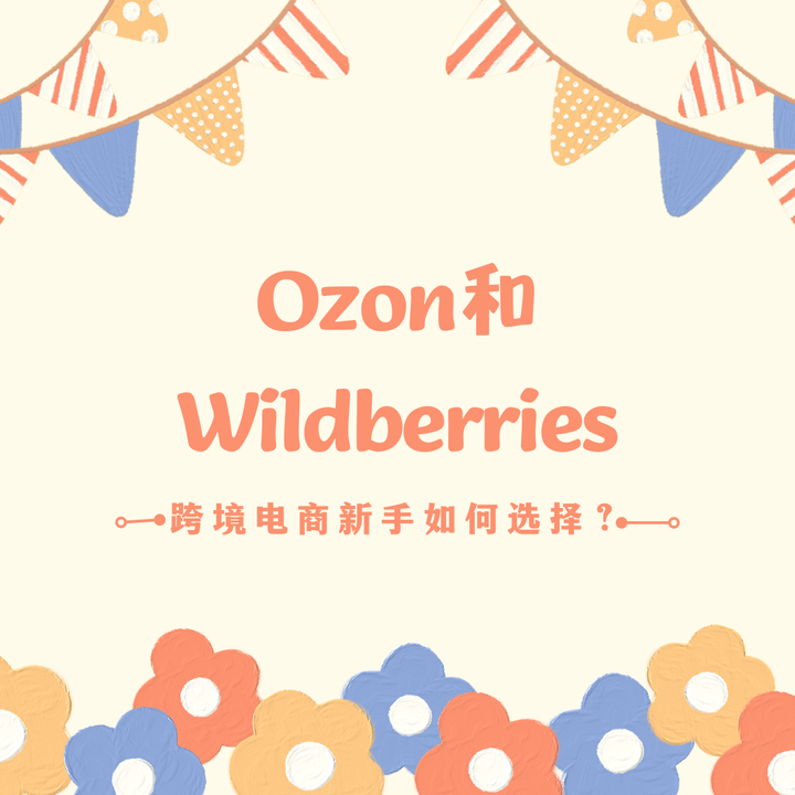Ozon和Wildberries跨境电商新手如何选择？ - 知乎