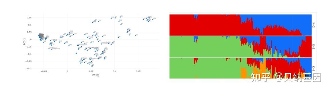 Hyper-seq测序应用——核心种质与DNA指纹图谱构建 - 知乎