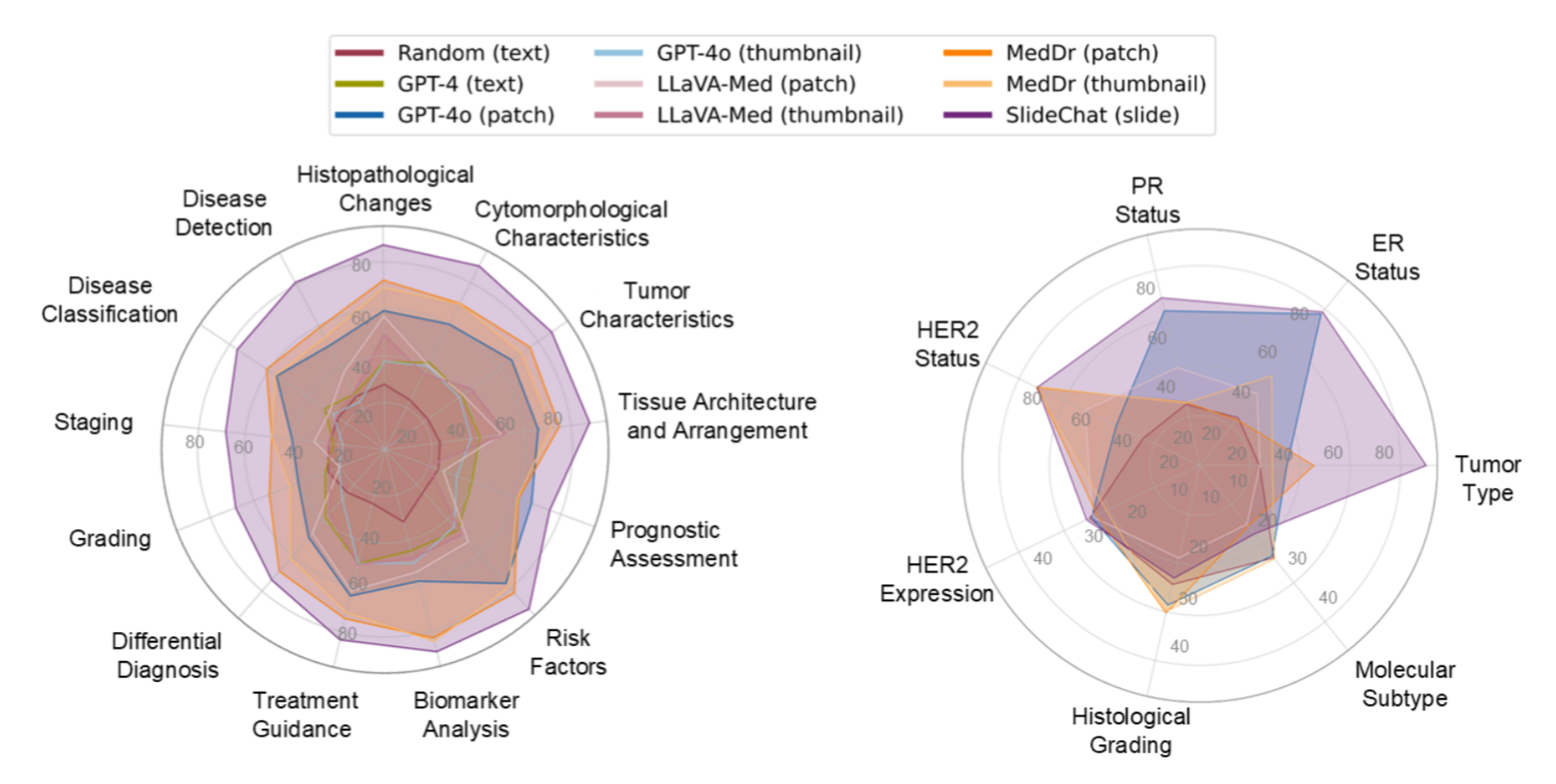 SlideChat：面向病理全切片图像理解的大型视觉-语言模型 - 知乎