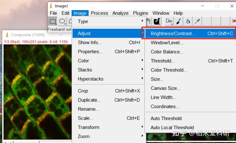 如何用imageJ做merge图? - 知乎