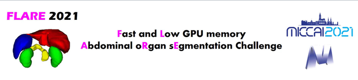 FLARE 2021 数据集介绍 - 知乎