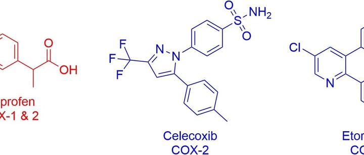 看两个选择性COX-2抑制剂 - 知乎