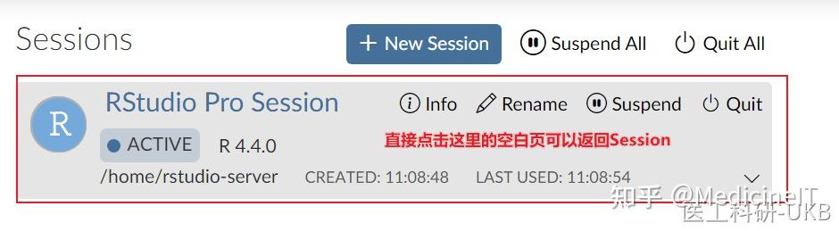 如何使用RAP平台中的云RStudio - 知乎