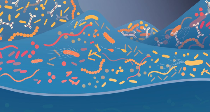 Nucleic Acids Res. | DeepST: 使用深度学习识别空间转录组的空间域 - 知乎