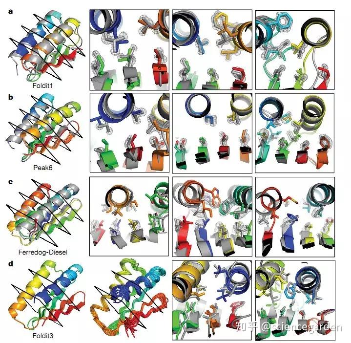 【合成生物学】蛋白人工设计大师David Baker - 知乎