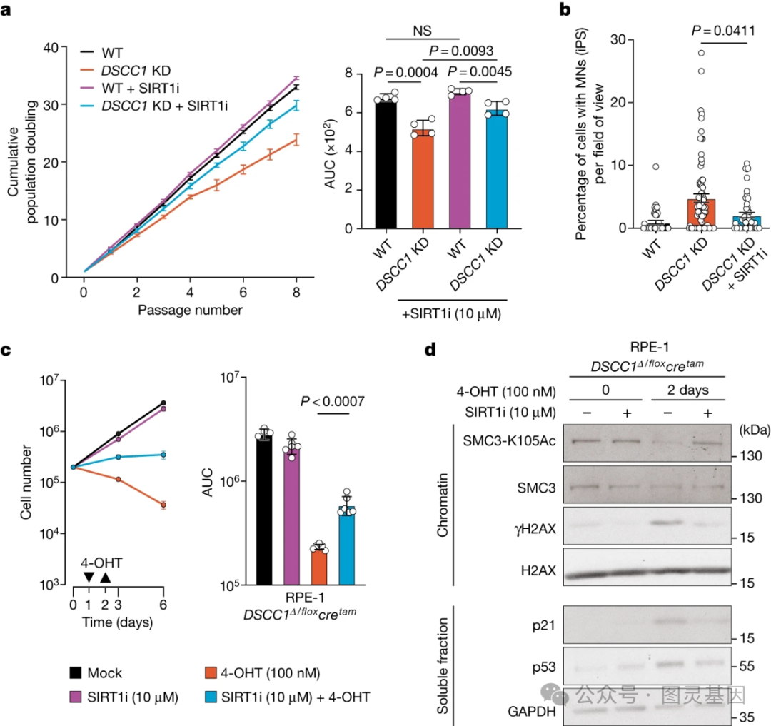 Nature | 发现维持基因组稳定的关键调节基因 - 知乎