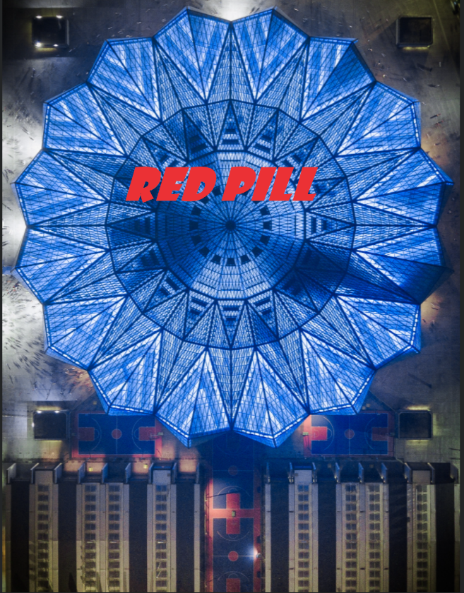 Red Pill 每个人眼中的世界是不一样的！！！ - 知乎