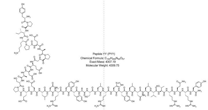 Peptide YY (PYY)；YPIKPEAPGEDASPEELNRYYASLRHYLNLVTRQRY-NH2 - 知乎