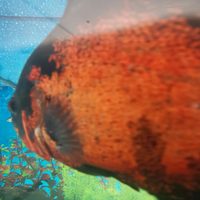 UG12.0与NX imageware 13共存方法 - 知乎