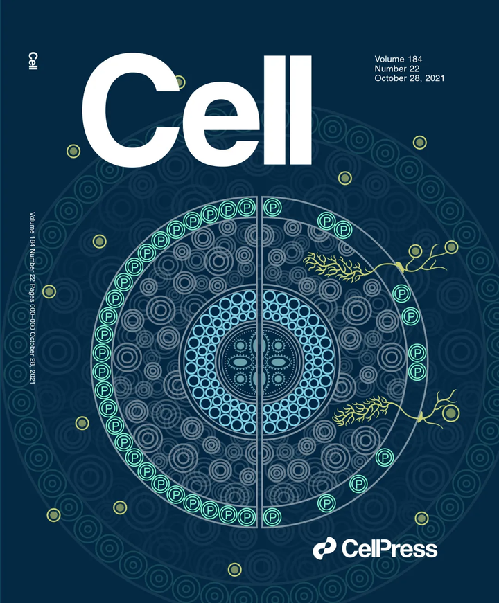 Cell 封面论文：水稻转录因子文库助力丛枝菌根共生自我调节研究 - 知乎