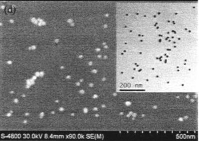 16nm纳米金Au-MPTS/Anti-Human IgG-AuNPs标记多糖/聚合物 - 知乎
