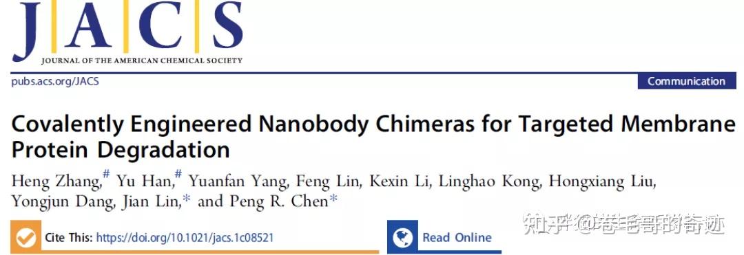 新型蛋白降解技术——GlueTAC - 知乎