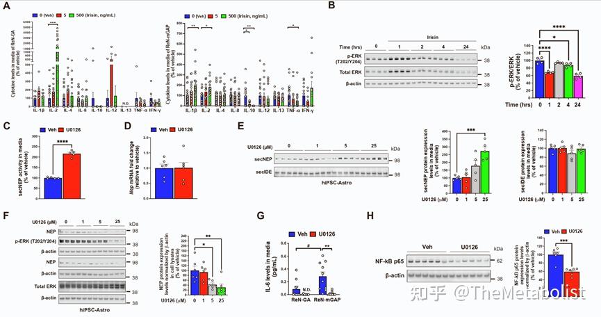 Neuron: Irisin让你不再困在时间里 - 知乎