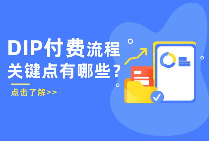 DIP付费流程关键点及相关问题 - 知乎