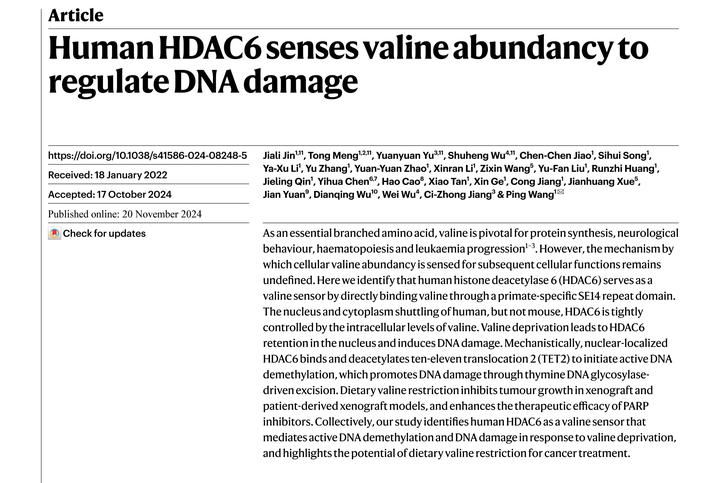 文献分享 | Nature：人类HDAC6感知缬氨酸丰度以调控DNA损伤 - 知乎
