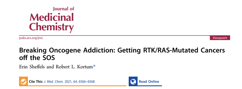 SOS抑制剂协同KRAS抑制剂用于肺腺癌治疗