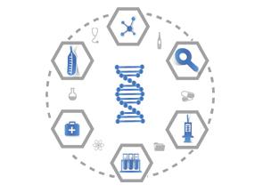 手把手教你如何从GEO下载数据 - 知乎