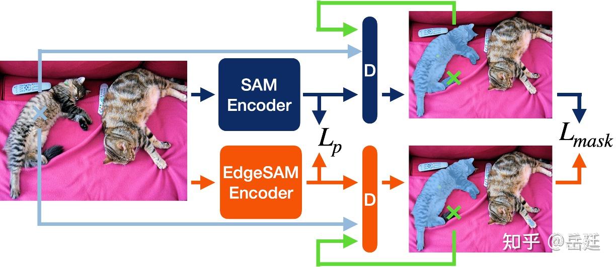 EdgeSAM：可在iPhone上实时运行的SAM - 知乎