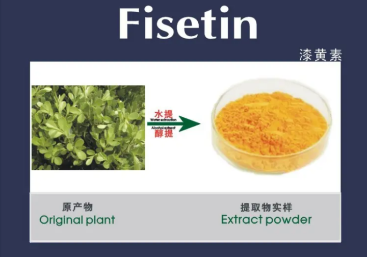 非瑟酮（Fisetin）：一种用于健康衰老的抗衰老剂及更多 - 知乎