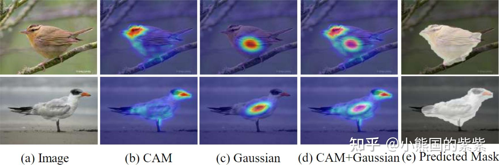 文献阅读：Shallow Feature Matters for Weakly Supervised Object Localization - 知乎