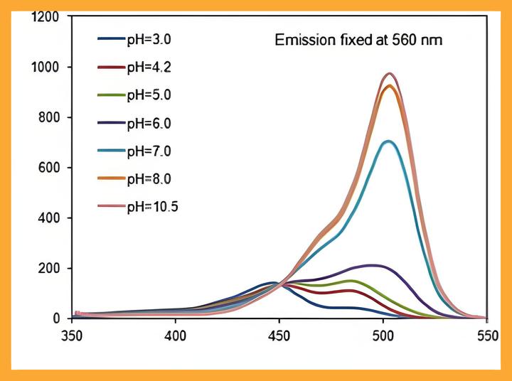 BCFL Acid (Superior replacement for BCECF Acid) pH荧光探针，可评估化合物对细胞酸碱平衡的影响 ...