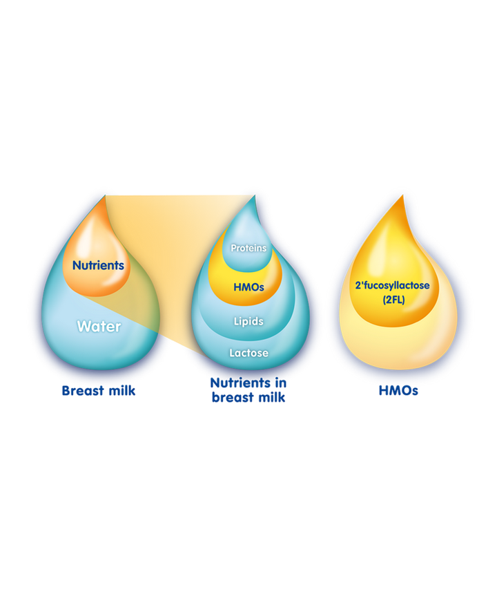 对肠道有意义的糖？这种叫HMO的营养素原理来了 - 知乎
