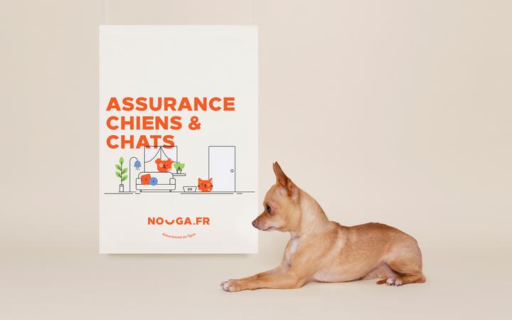 AKShare-现货数据-上海金基准价 - 知乎