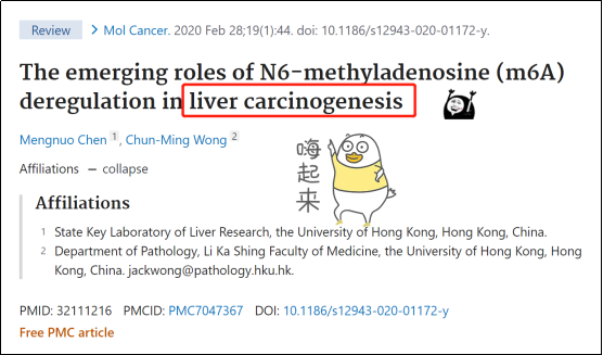 【精品导读】肝癌中的m6A（Mol Cancer综述） - 知乎