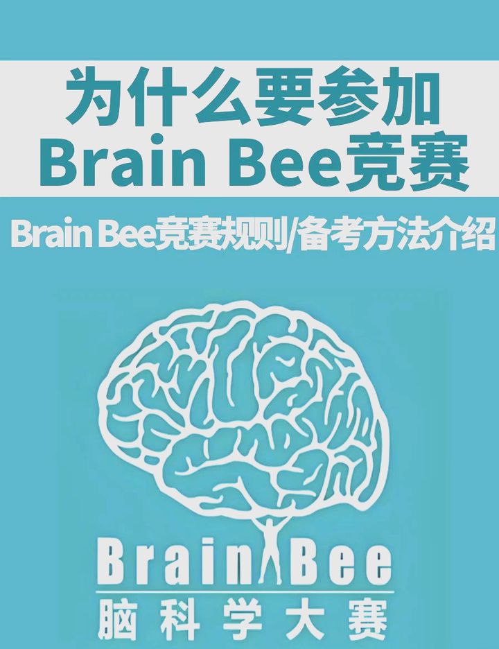 脑科学（Brain Bee）2025年全攻略：从报名到冲刺，一文搞定！ - 知乎