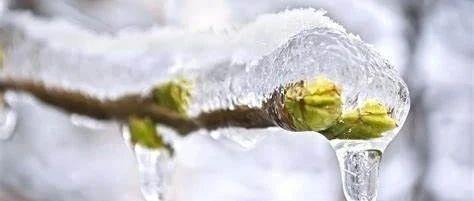 单词详解 | thaw - 知乎
