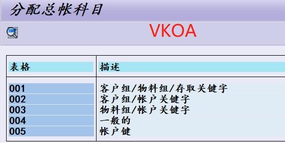 SAP 分配总账科目 VKOA - 知乎