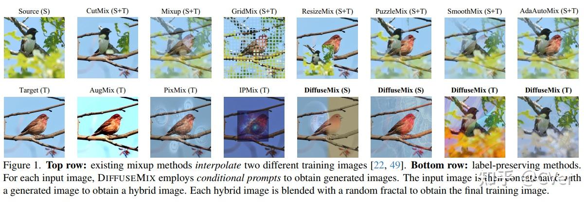 CVPR 2024 | 涨点神器！DiffuseMix：使用扩散模型进行标签保留数据增强 - 知乎