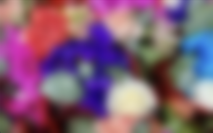 WebGPU 计算管线 - 知乎