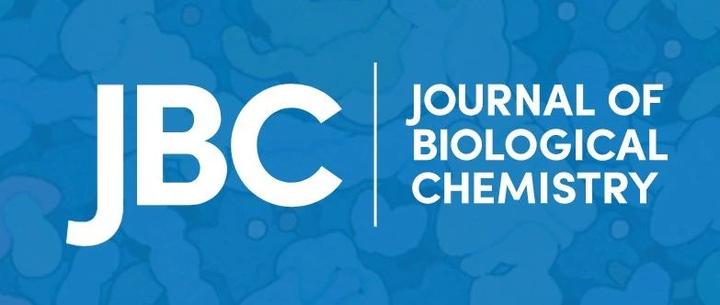 JBC丨p38 MAPK 和 MKP-1 在脓毒症期间通过双功能糖酵解调节剂 PFKFB3 控制糖酵解程序 - 知乎