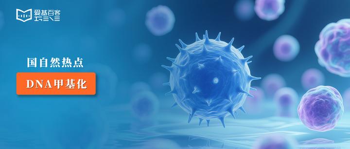 Cell Meb | 国自然热点DNA甲基化和蛋氨酸代谢共同解析癌症恶病质肌肉萎缩的机制 - 知乎