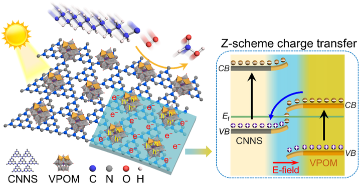 李希友/于贵阳/刘和元ACB：钒钼多酸/氮化碳的Z-scheme异质体系用于高效的光催化塑料转化升级 - 知乎