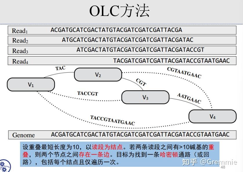 基因组装的概念/算法(OLC,K-mer)详解 - 知乎