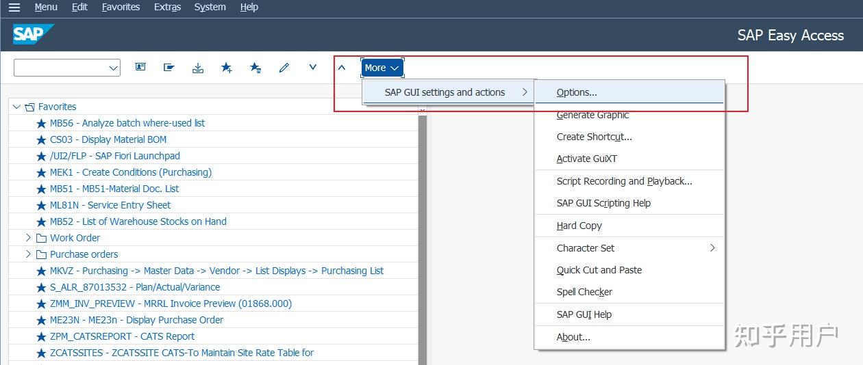 sap gui 750如何设置成740风格？ - 知乎