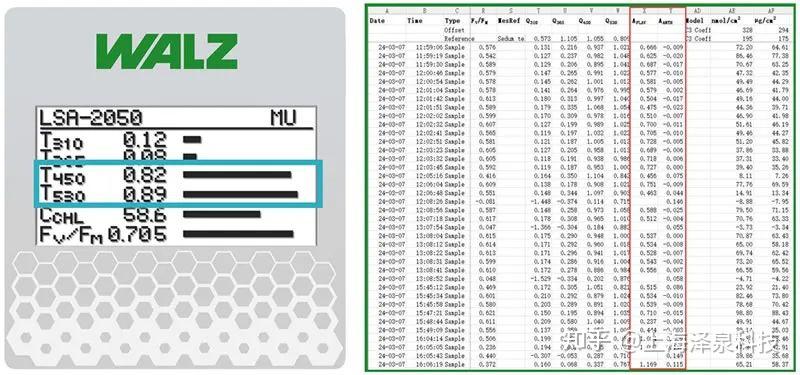 植物多酚叶绿素荧光仪LSA-2050 - 知乎