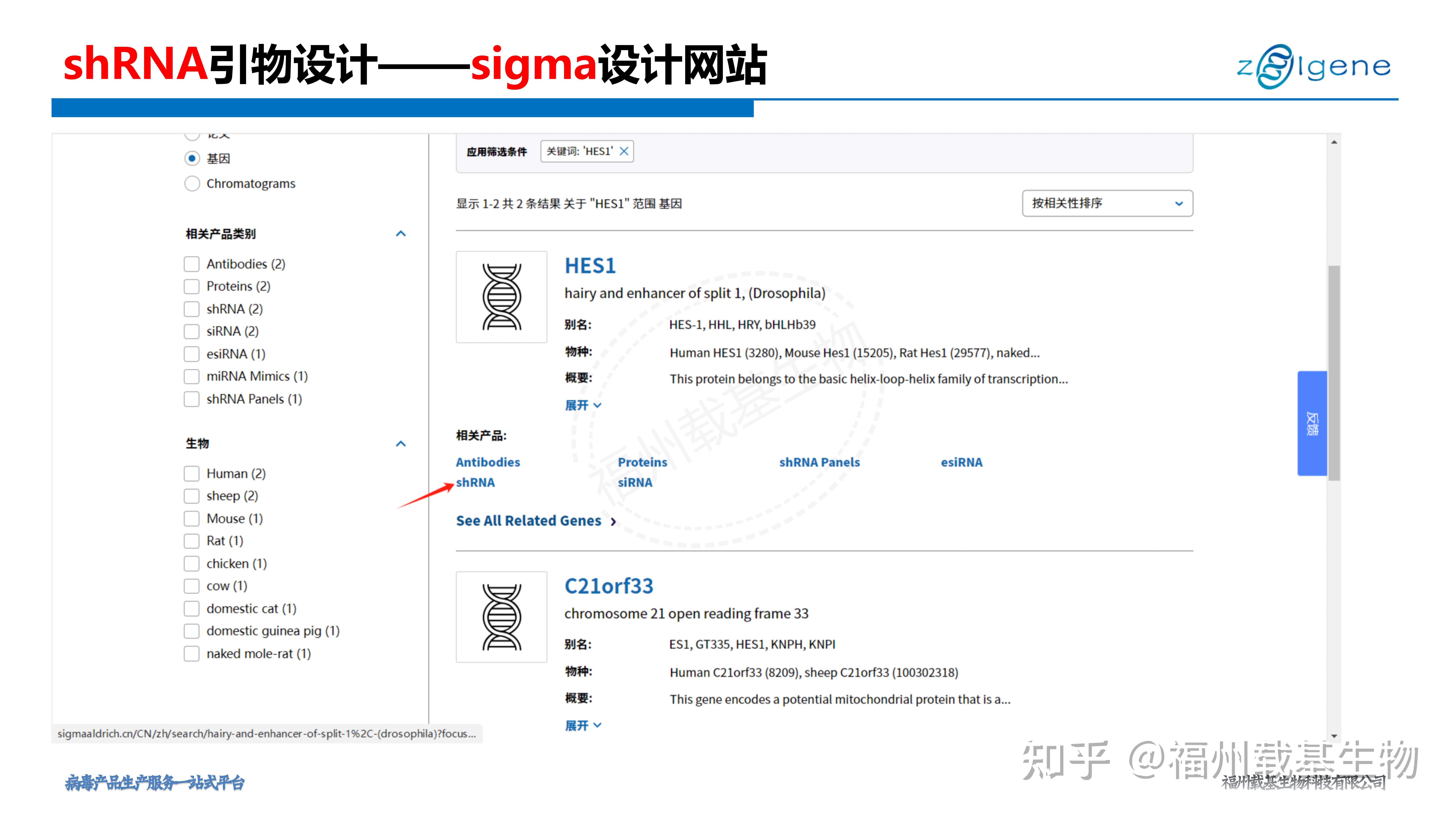 shRNA设计原则是什么？ - 知乎
