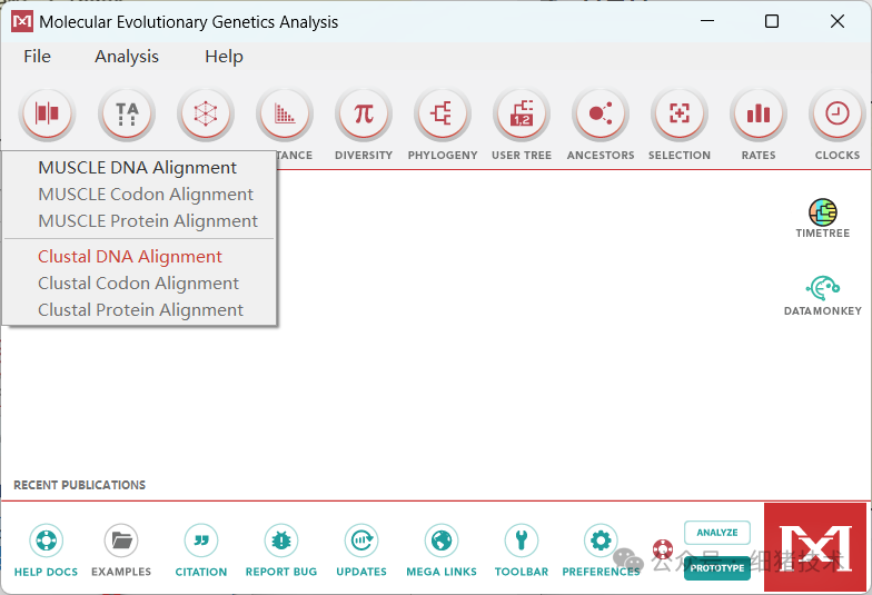 MEGA-CC程序使用方法 - 知乎