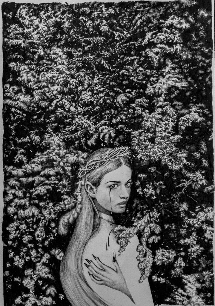 暗影网（shadow web）是否真的存在，是否真的可怕？ - 知乎