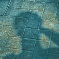 Brax & MuJoCo(MJX) 初步尝试体验 - 知乎