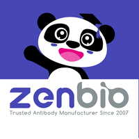 IL-1β：炎症反应中不可或缺的调节分子 - 知乎