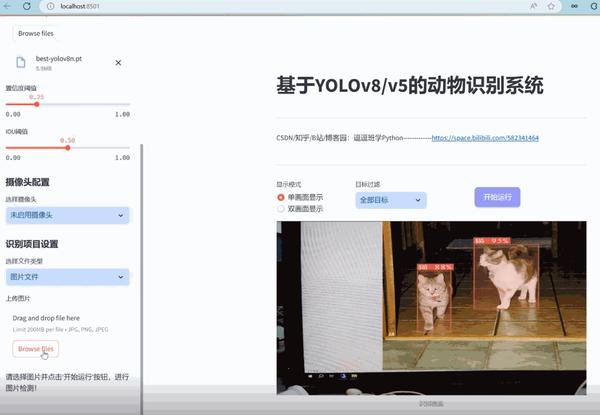 基于深度学习的动物识别系统（网页版+YOLOv8/v7/v6/v5代码+训练数据集） - 知乎